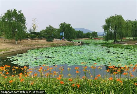 北京房山红领巾公园夏日风光美
