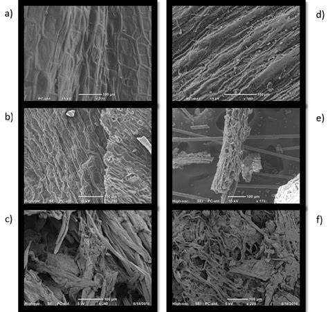 sample micrographs a cs v b cs c c cs b d bl v e blc f bl b download scientific