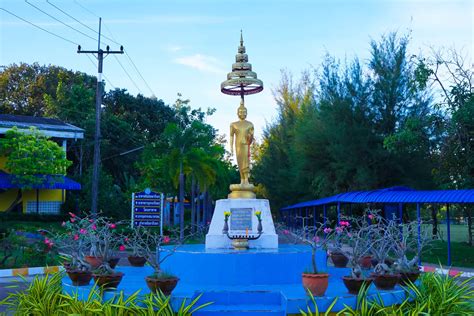 โรงเรียนโนนค้อวิ โรงเรียนโนนค้อวิทยาคม สพม ศรีสะเกษ ยโสธร