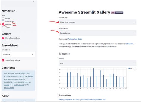 Serve Streamlit Within Flask Using Streamlit Streamlit