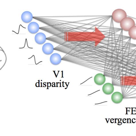 Distance Module Disparity Selective Cells See Variable A In Eqs Download Scientific Diagram