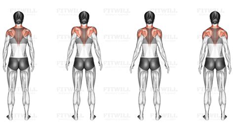 Standing Scapular Rotation Exercise Guide Video Techniques Benefits How To Muscles Worked
