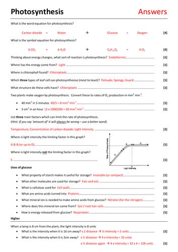 Topic 4 Bioenergetics Revision Questions And Answer Sheets Teaching Resources