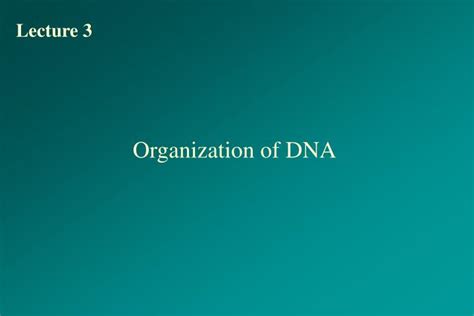 PPT Organization Of DNA PowerPoint Presentation Free Download ID 263721