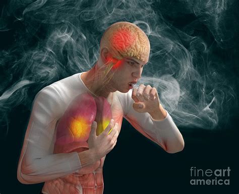 Lung Irritant Photograph By Claus Lunau Science Photo Library Pixels