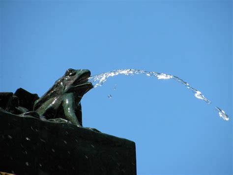 Projectiles Flashcards Quizlet