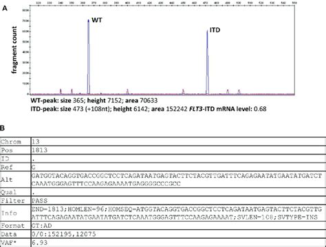 Flt3 Itd Detection Output By Fragment Analysis And By Htas Exemplary