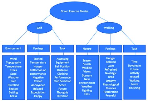 Codes And Themes From The Thematic Analysis Download Scientific Diagram