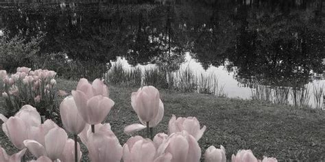 사랑의 기준점이 되어버린 사람 포스타입 채널