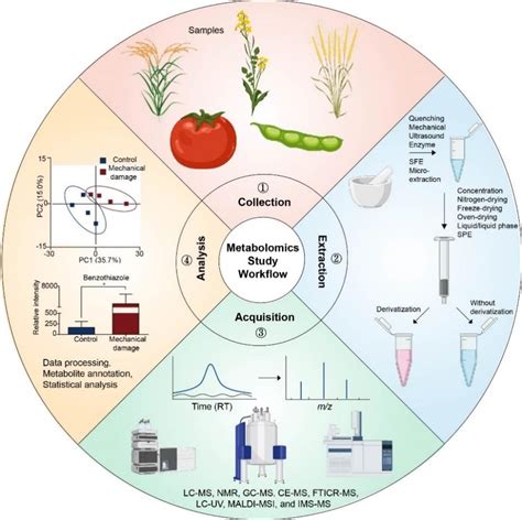 海南大学罗杰教授团队综述代谢组学在研究植物代谢多样性方面研究进展 新闻网