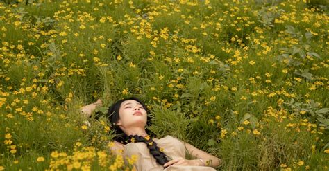 경치 고요한 공상 꽃 꽃무늬 낭만적인 노란 꽃 녹지 농촌의 데이지 레저 만족 명상 모델 목가적 인 장면 목가적인 봄 부드러운 부드러운 빛