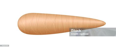 원시 카사 바 신선한 흰색 배경에 고립 타 피 오카 밀가루 산업 또는 에탄올 산업에 대 한 카사 바 컷 슬라이스 더미 유카 카사