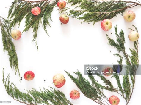 주 니 퍼 가지 고 빨간 사과입니다 크리스마스 새 해 배경입니다 주 니 퍼의 침 엽 수 가지의 프레임입니다 평면도 평면 디자인 흰색 배경에 고립 된 크리스마스 트리입니다 0