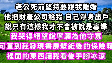 老公死前堅持要跟我離婚，他把財產公司給我自己淨身出戶，說只有這樣我才不會被說是寡婦，我哭得絕望說寧願為他守寡，可直到我發現書房壁紙後的保險箱