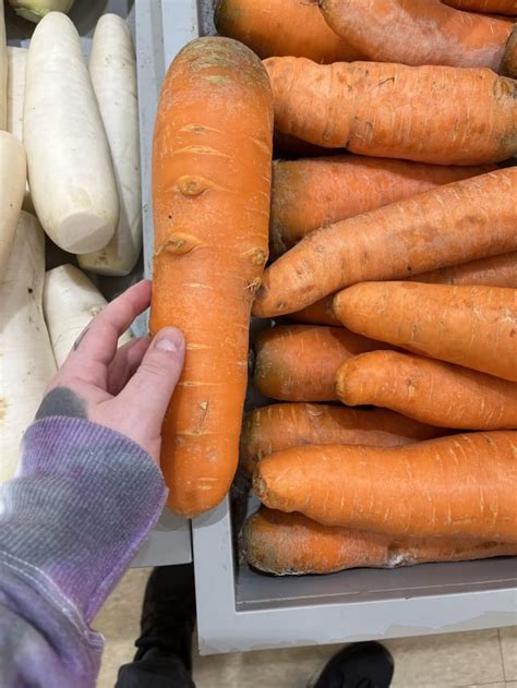 These Carrots My Hand For Scale R Absoluteunits