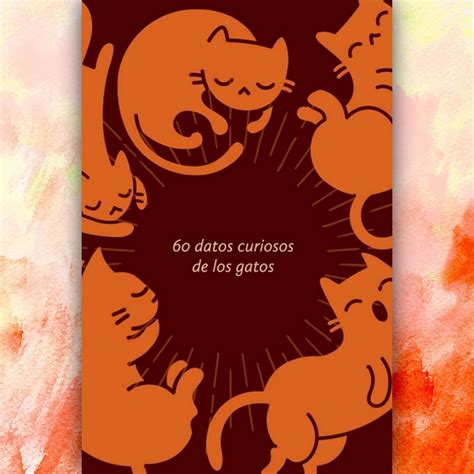 Datos Curiosos De Los Gatos Rassel Una Gata De Biblioteca