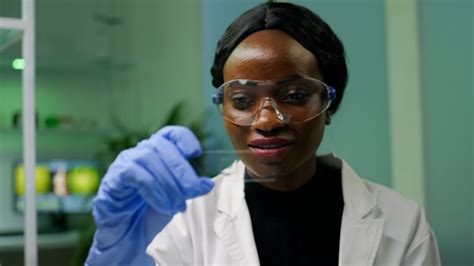 Metagenomics And Bioinformatics Services South Africa