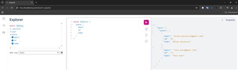 Dgs Graphql And Spring Boot