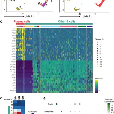 single cell rna sequencing of bone marrow b cells single cell