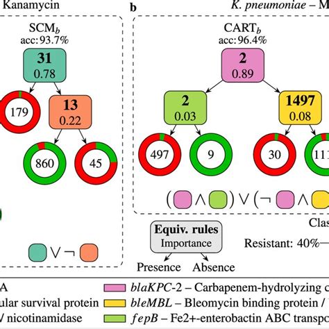 Rule Based Genotype To Phenotype Classifiers Each Classifier Is Shown