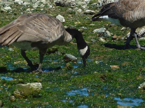 A Quick Bite By Photosbymiles On Deviantart