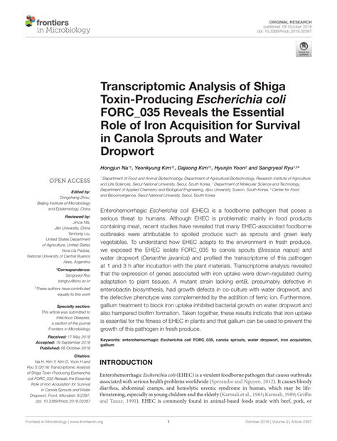 Pdf Transcriptomic Analysis Of Shiga Toxin Producing Escherichia Coli