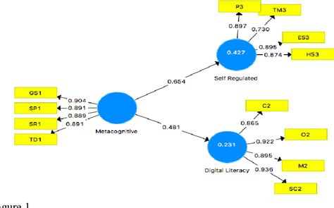 Figure 1 From Metacognitive Contribution To Biology Pre Service Teachers Digital Literacy And
