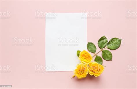 꽃 조성 배경입니다 분홍색 배경에 아름다운 노란색 장미 맨 위 보기 복사 공간 기념일에 대한 스톡 사진 및 기타 이미지 기념일 꽃 나무 꽃 식물 Istock