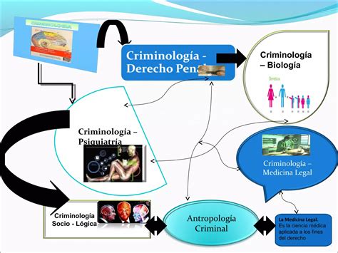 Mapas Mentais Sobre Criminologia Study Maps