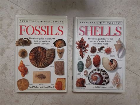 Fossils And Shells Books Hobbies And Toys Books And Magazines Fiction
