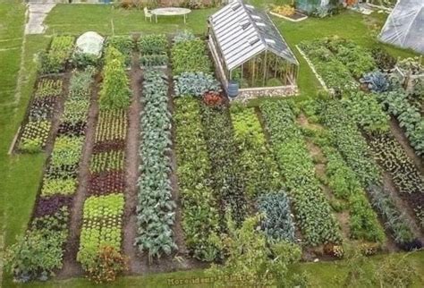 თერმული სკები თერმული სკები Added A New Photo