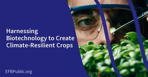 Harnessing Biotechnology To Create Climate Resilient Crops