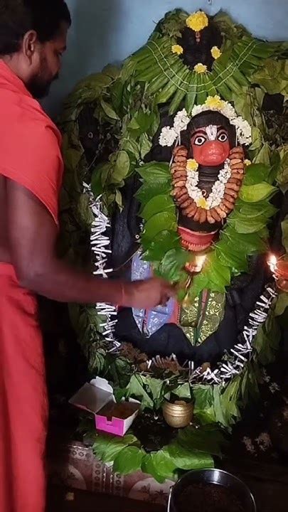 ஜெய்ஸ்ரீராம் இன்று நம் கோவிலில் மாட்டு பொங்கல் வைத்து கோமாதா பூஜை அனுமன் ஆரத்தி Youtube