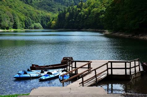 Guide To Algae Colors Understanding Types And Algae Impact