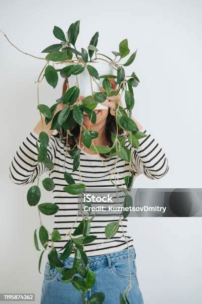 화분에 심은 화분 뒤에 얼굴을 숨기고 있는 여자 그녀는 들고 있다 위에 흰색 가린 얼굴에 대한 스톡 사진 및 기타 이미지 가린 얼굴 쥠 한 명의 여자만 Istock