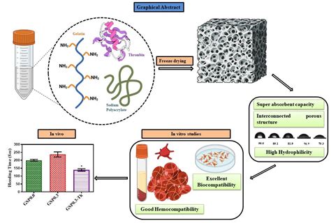 In Vivo And In Vitro Investigation Of A Novel Gelatin Sodium Polyacrylate Composite Hemostatic