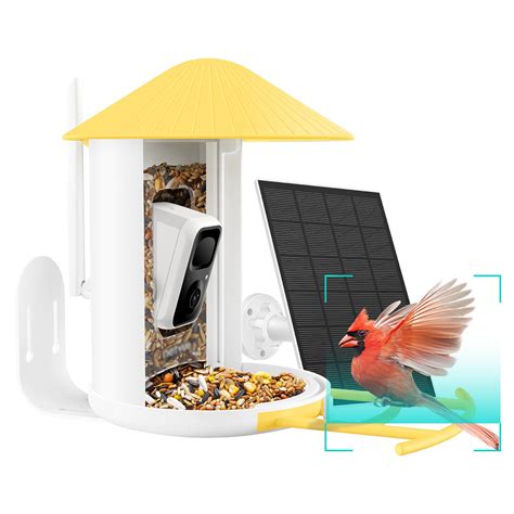 netvue birdfy ai smart bird feeder