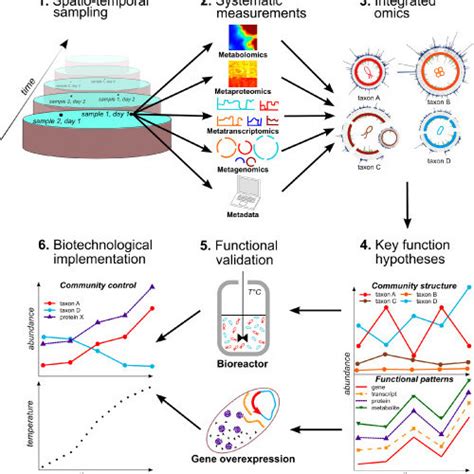 The Path From Large Scale Integrated Omics To Hypothesis Testing And Download Scientific