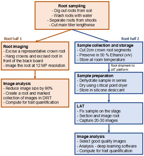 High Throughput Root Phenotyping Opportunities And Challenges For The Adaptation Of Arid And