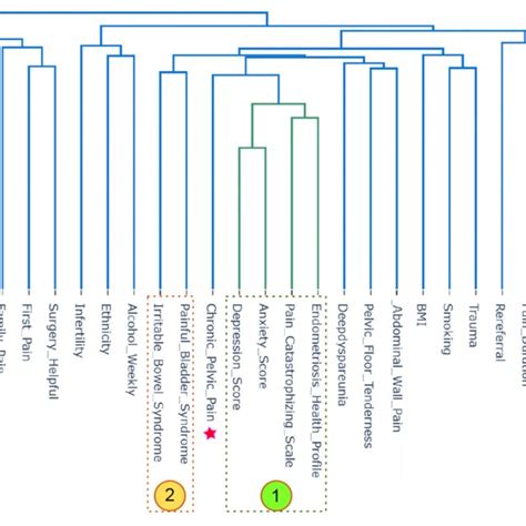 Hierarchical Cluster Analysis Hca Analysis Of All 25 Factors In The
