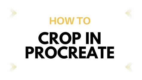 How To Crop In Procreate The Only Tutorial You Need