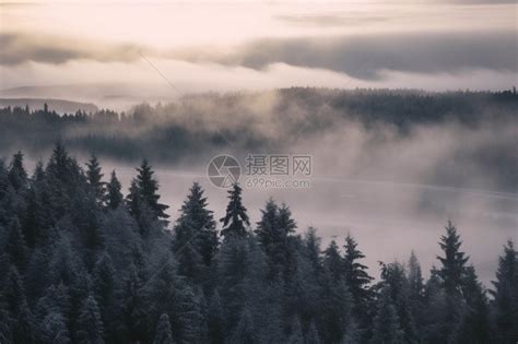 充满雾的山顶高清图片下载 正版图片600447958 摄图网