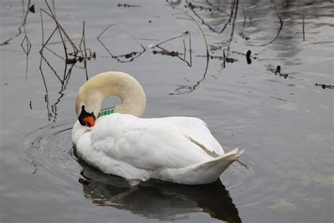 Do You Need A 70 200mm F4 Or 70 200mm F2 8 Lens