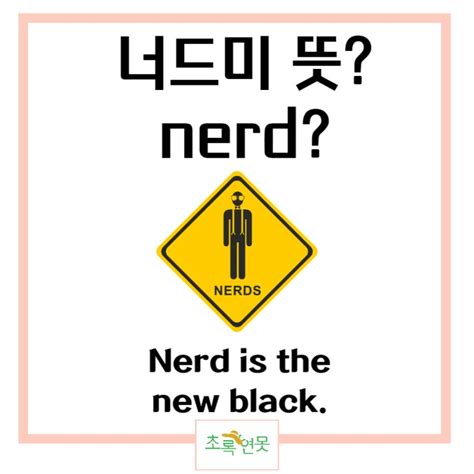너드미 뜻 너드남 신조어 Nerd 뜻 미드로 영어공부해요 네이버 블로그