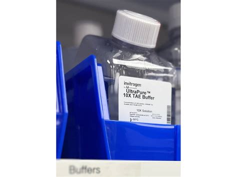 Why Use Buffer In Electrophoresis At Martin Loya Blog Why Use Buffer In Electrophoresis At Martin Loya Blog