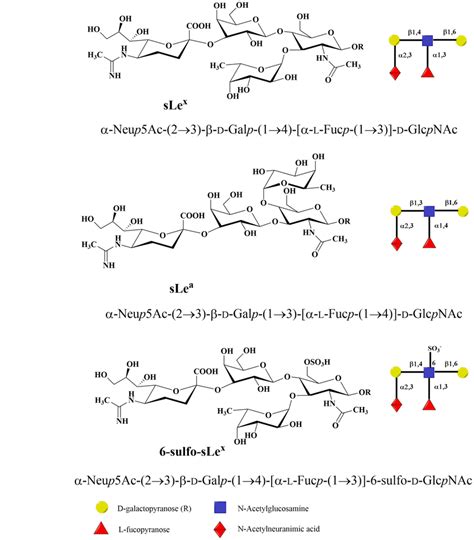 Schematic Representation Of Minimal Carbohydrate Determinant