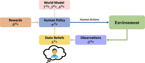 The Robot Estimates The Humans Pomdp Model As A Single Player Pomdp M