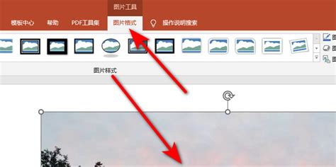 怎样在幻灯片中裁剪图片 360新知