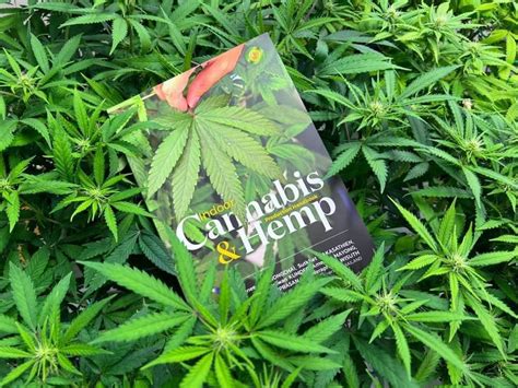 Foa Ku Cannabis หนังสือ