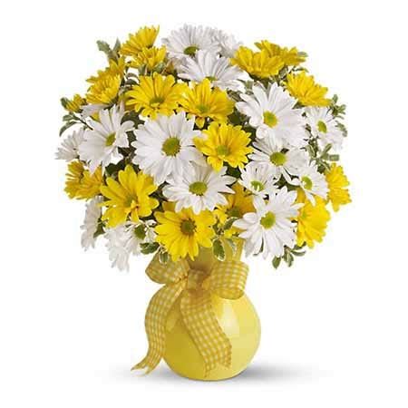 Yellow And White Daisy Bouquet At Send Flowers